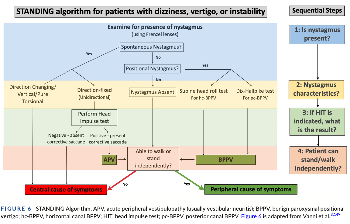 Approach to Dizziness & Vertigo based on the GRACE 3 Guidelines - ED Guidelines